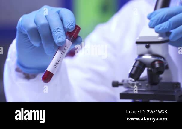 Scientist holding test tube dna Stock Videos & Footage - HD and 4K ...