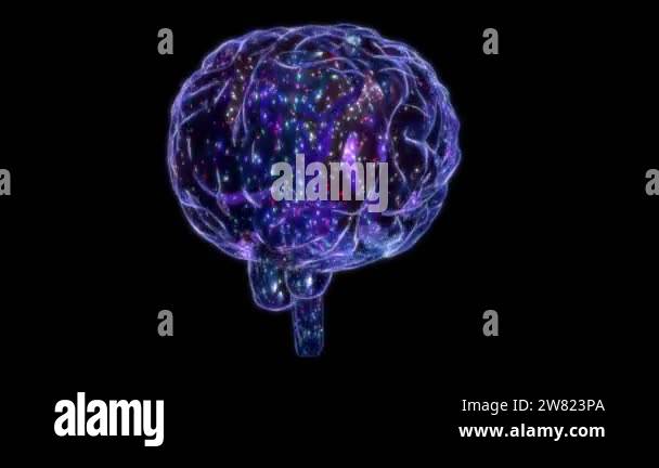Rotating human brain hologram - thinking process concept - 3D 4k ...