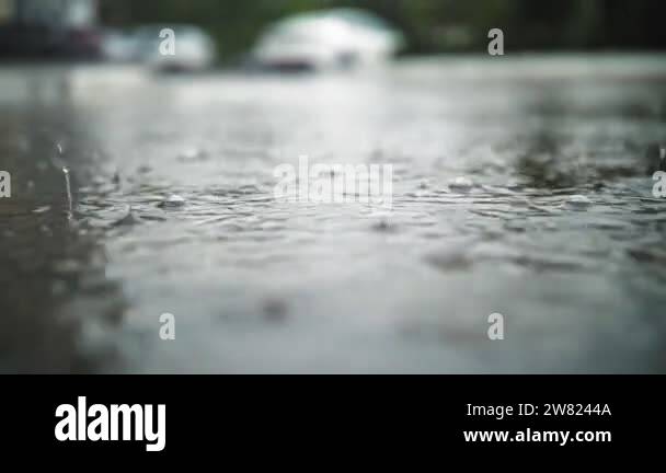 rain, puddles. raining. Water drops. rainstorm. large raindrops fall ...