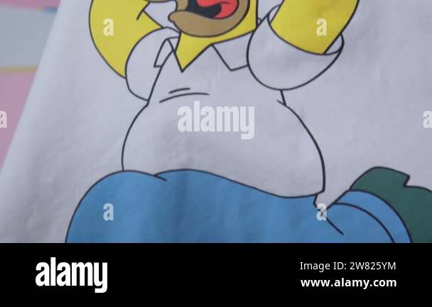 Homer simpson logo Stock Videos & Footage - HD and 4K Video Clips - Alamy