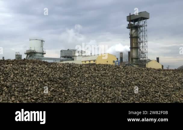 Sugar factory In The Work Process ; Industrial exterior of the sugar ...