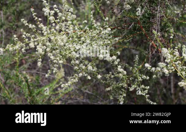 White terminal Stock Videos & Footage - HD and 4K Video Clips - Alamy