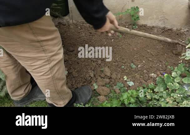 Man leveling ground rake Stock Videos & Footage - HD and 4K Video Clips ...