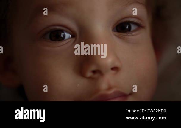 Beautiful Child Looking at Camera. Portrait of Little Cute Baby Boy Face. Close-Up Boys Brown ...