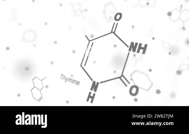 Chemical structural formula of thymine - DNA and RNA nitrogen base ...