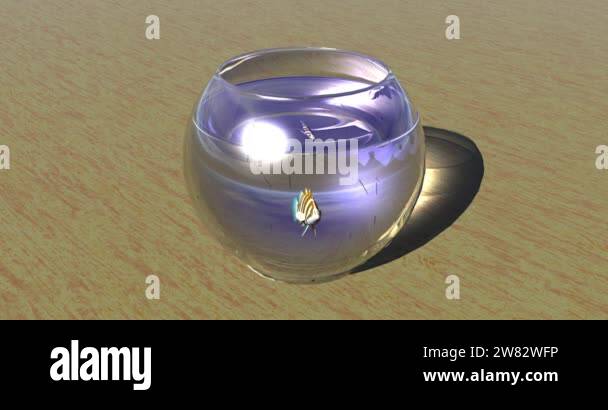 Ornamental glass fish Stock Videos & Footage - HD and 4K Video Clips ...