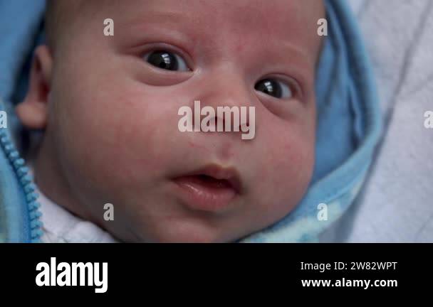 look of baby in camera close up shot. infant, childhood, parental love ...