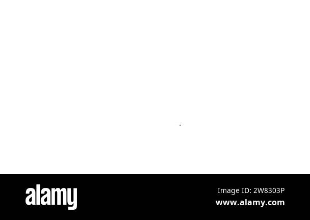 Black Line Folder Tree Icon Isolated On White Background Computer