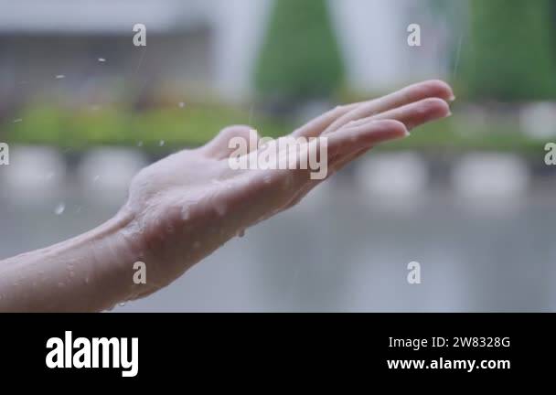 hand and raindrop, rainy day, touch the season, Catches rains on tiny ...