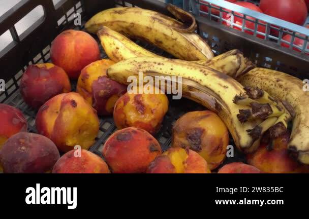 Unsold food products in a landfill. Rotten fruit boxes are thrown in ...