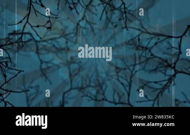 Grunge texture overlay over creepy trees branches against blue radial ...