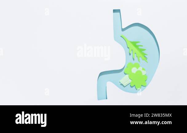 Illustration of the humans stomach who eats enough vegetables/fruits. The impact of fiber on the ...