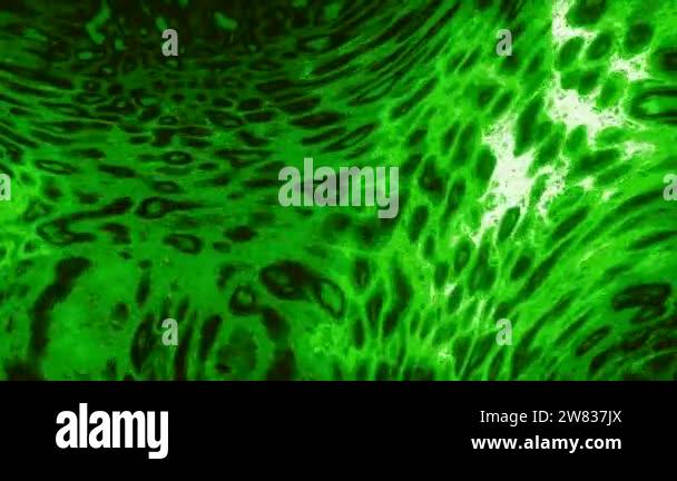 Moving and iridescent liquid. Motion. 3D liquid with iridescent specks ...