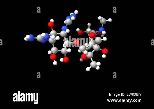Animated 3D ball-and-stick and spacefill models of aminoglycoside ...
