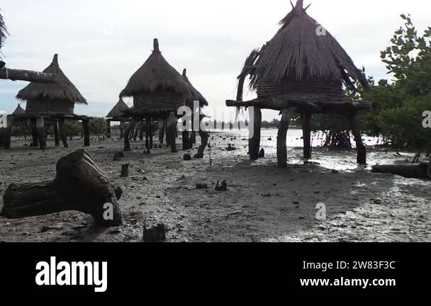 Huts on piles, island of Fadiouk, Senegal Stock Video Footage - Alamy