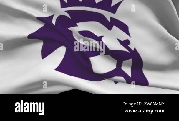 English Premier League waving flag. EPL background. Soccer championship ...