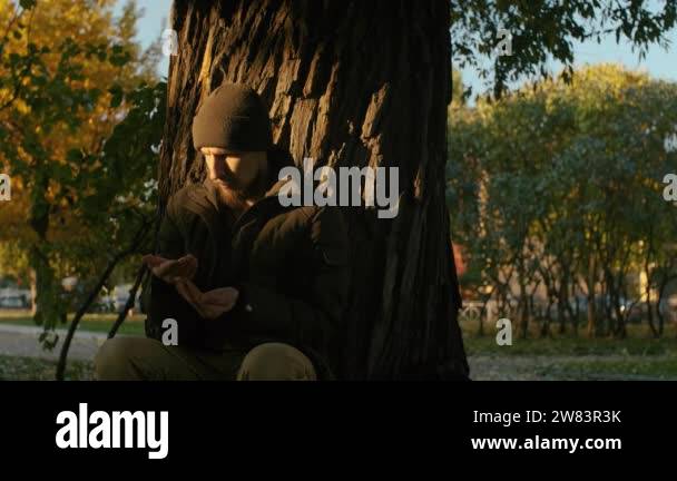 A poor man by the tree in a park counting coins in the palm of his hand ...