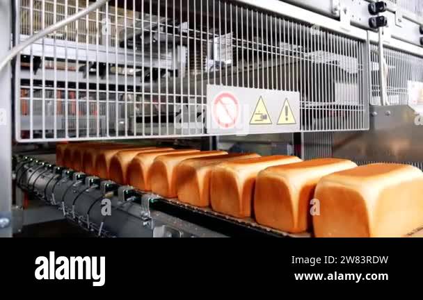 Loafs of bread in a bakery on an automated conveyor belt. Bread ...