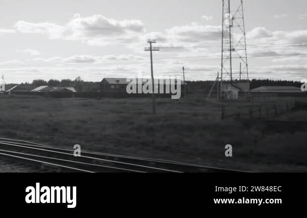 Bnw tree Stock Videos & Footage - HD and 4K Video Clips - Alamy