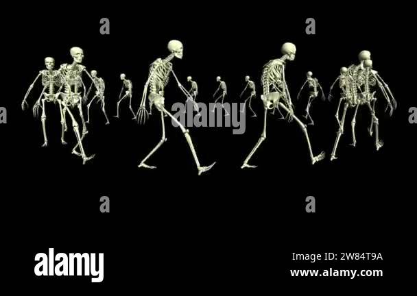Skeleton marching in a circle. Animation footage. 3D animation of ...