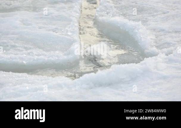 Close-up of large pieces of broken Arctic ice floes bobbing on the waves next to each other ...