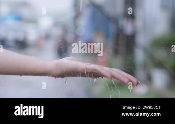 girl hand catches rain drops, touch the season, rains on female Palm ...