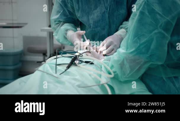 The doctor performs a pediatric surgical operation to remove the ...