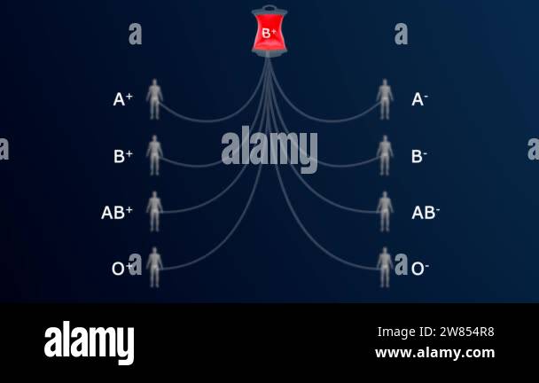 There are 4 main blood groups (types of blood) A, B, AB and O. Your ...