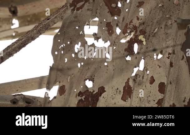 Exploding shell Stock Videos & Footage - HD and 4K Video Clips - Alamy