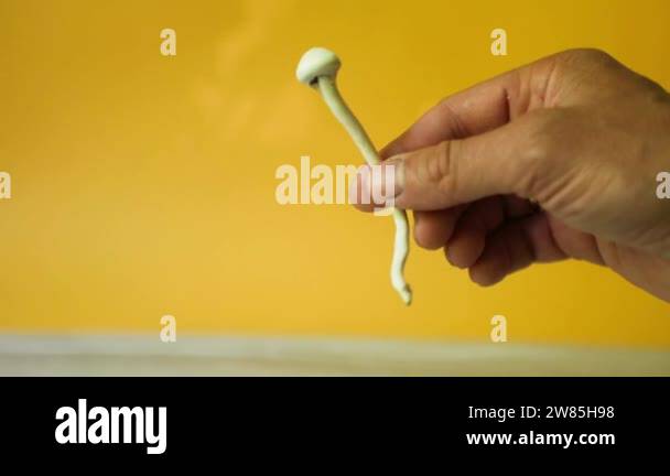 White rasta man Stock Videos & Footage - HD and 4K Video Clips - Alamy