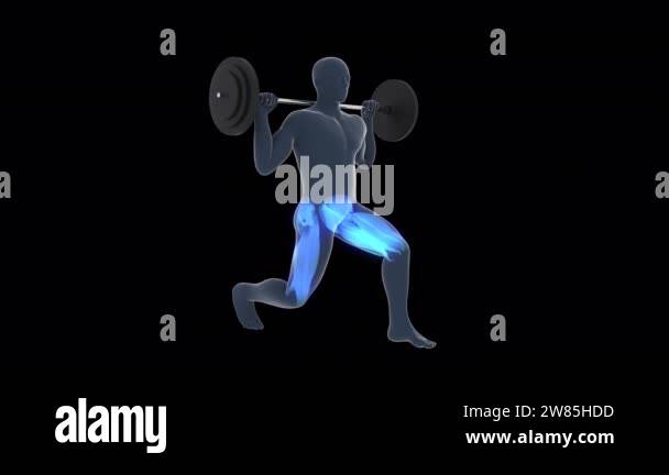 This 3d animation shows an xray man performing static lunges with ...
