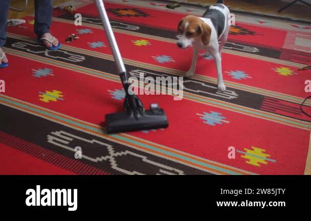 Retro vacuum cleaner Stock Videos & Footage - HD and 4K Video Clips - Alamy