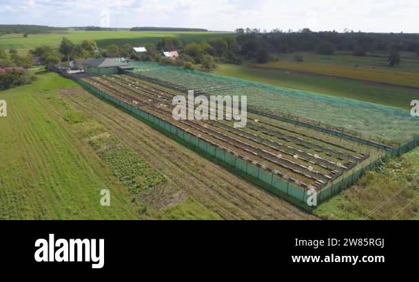 Agriculture top view. Beautiful well-groomed fields top view. Farm top ...