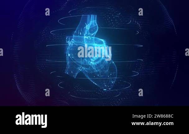 Anatomically correct blue digital human heart seamless loop with ...