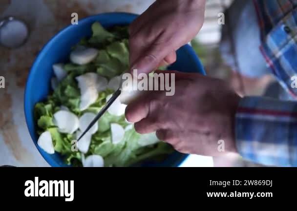 Cutting a turnip with a sharp knife. Only the hands of the man can be ...