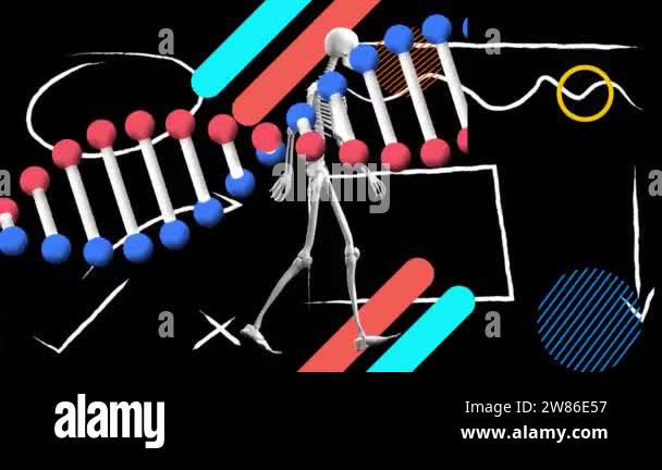 Animation of dna chain, walking skeleton and different shapes on black ...