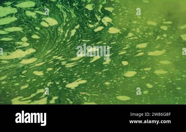 Polluted water building Stock Videos & Footage - HD and 4K Video Clips ...