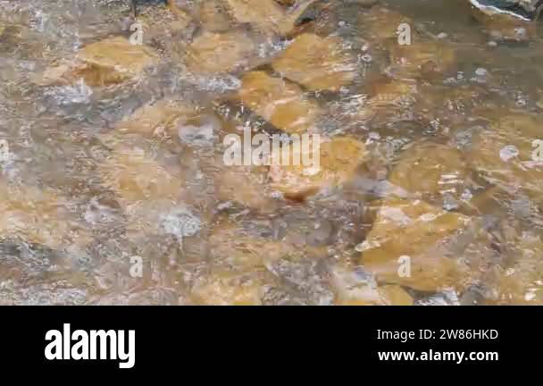 mountain river. the bottom of the rivers is made of clay. fast water ...
