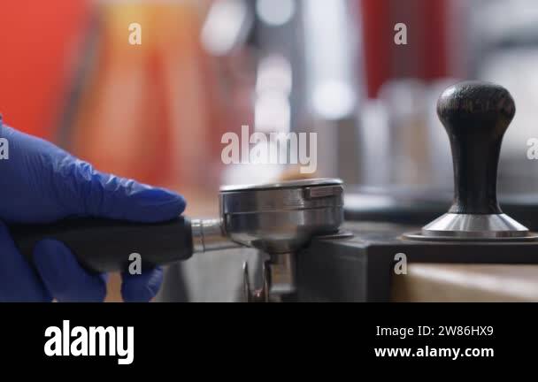 Barista hands pressing coffee powder in group handle with tamper press ...