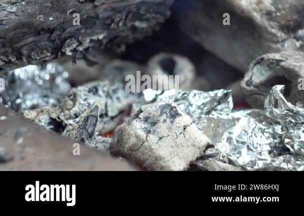 Burnt out fire Stock Videos & Footage - HD and 4K Video Clips - Alamy