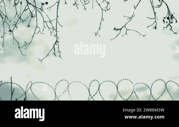 Dividing bars Stock Videos & Footage - HD and 4K Video Clips - Alamy