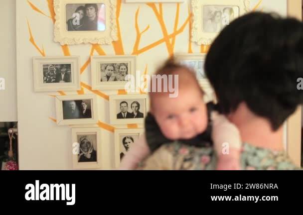 Genealogy child family tree Stock Videos & Footage - HD and 4K Video ...