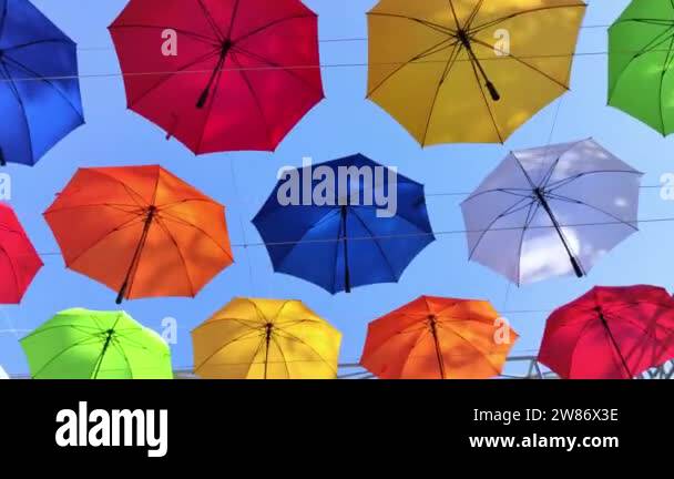 Identification labels Stock Videos & Footage - HD and 4K Video Clips ...