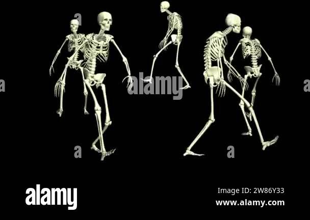 Skeleton marching in a circle. Animation footage. 3D animation of ...