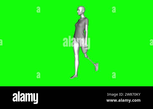 3D girl with Modern Leg Prosthetic leg walk , animation, green screen ...