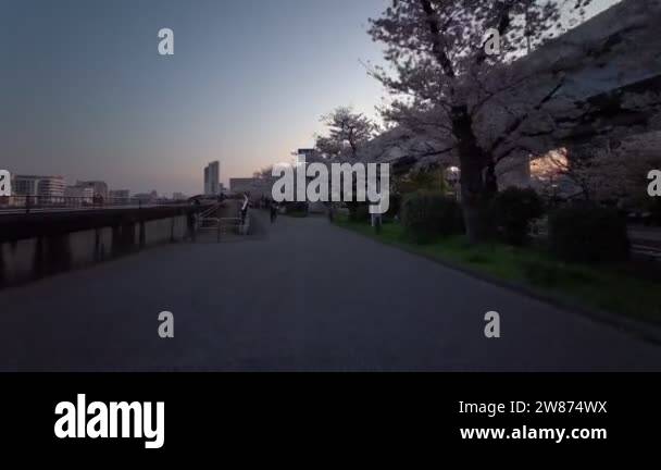 Sumida park cherry blossoms Stock Videos & Footage - HD and 4K Video ...