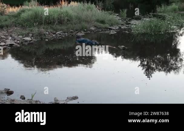 a man drowned , dead in the water , the body of a young murdered man ...