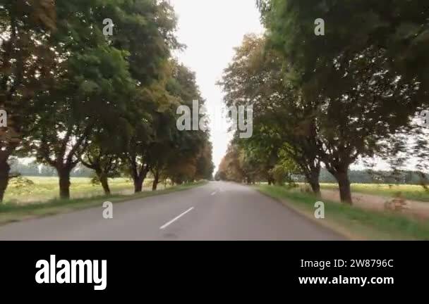 Driving trees Stock Videos & Footage - HD and 4K Video Clips - Alamy