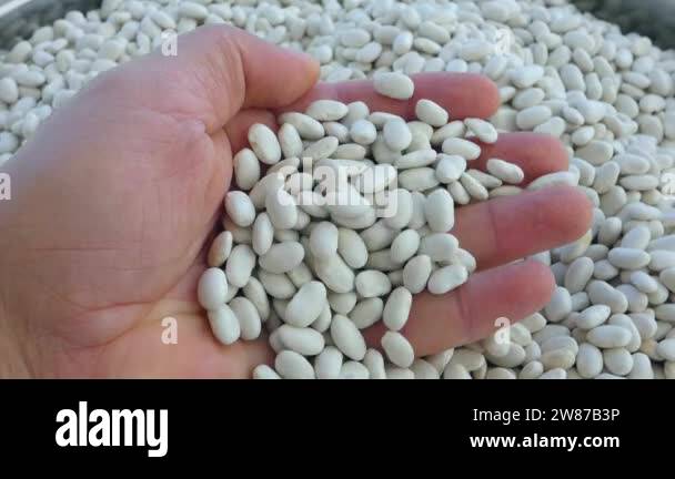 a handful of dried beans, a hand grasping the beans, a large amount of ...