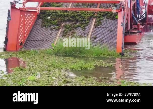 Thailand cleaning Stock Videos & Footage - HD and 4K Video Clips - Alamy